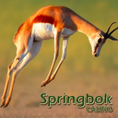 Springbok Casino Celebrates Leap Year with Leaping Wildlife Feature ...