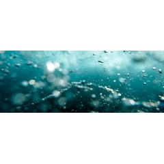 Air Liquide and Siemens Energy to develop a large scale electrolyzer partnership for sustainable ...