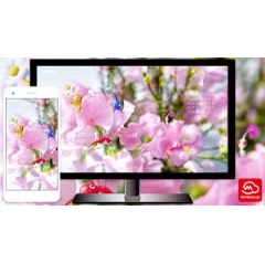 Pluck a free Pikmin 4 calendar wallpaper for this month! | WebWire