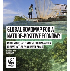 Global Roadmap for a Nature-Positive Economy | WebWire