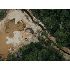 Illegal gold mining has destroyed over 4,000 hectares of Amazon ...