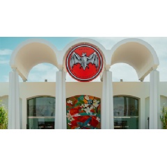 Bacardi Promotes Conservation and Education to Help Protect Bat ...