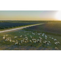 H&M Group signs virtual power purchase agreement with Lightsource bp ...